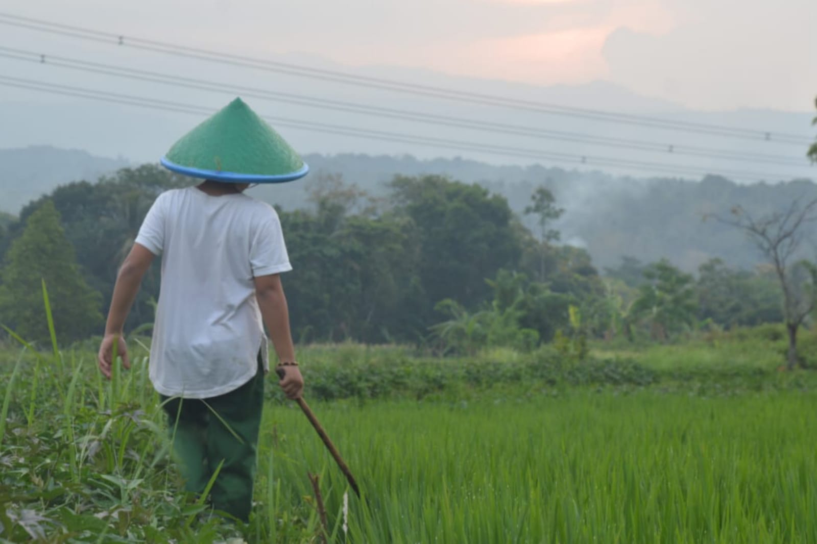 My Portfolio | Alif Nur Alam