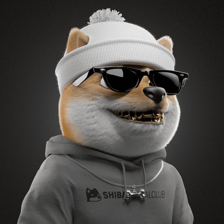 My Portfolio | Alif Nur Alam